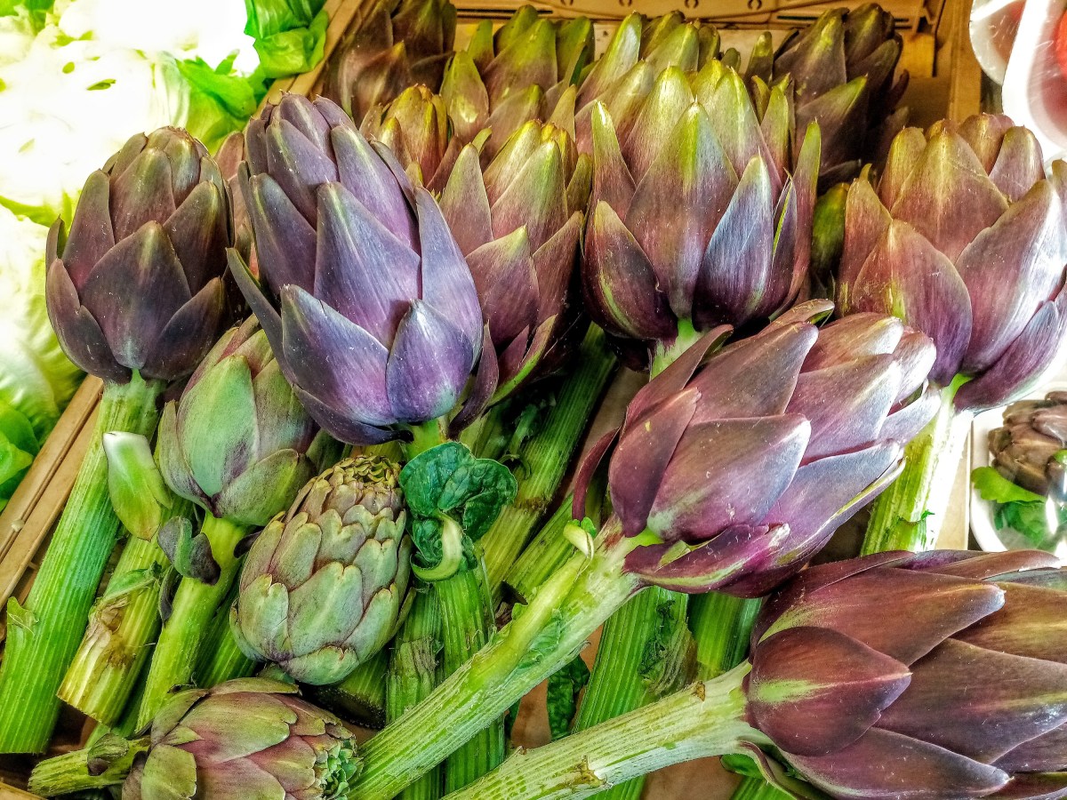 Le Castraúre di Venezia e le Virtù di Teramo, la primavera nel piatto ...